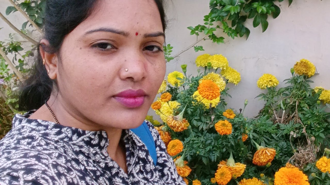 Sangeeta Saroj official is live hi faind mai kothi me kam karti hu#🥲 ...