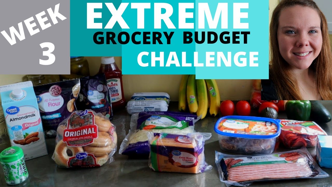 EXTREME GROCERY BUDGET CHALLENGE || FEBRUARY WEEK 3 - YouTube