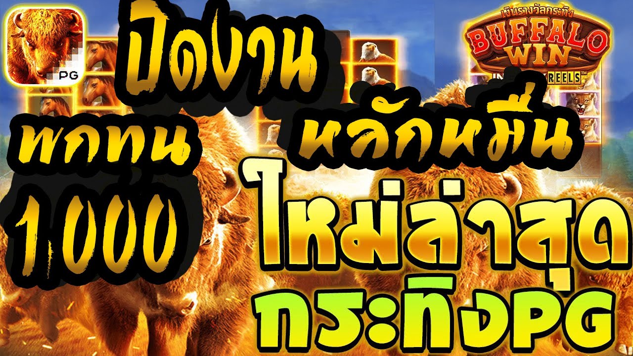สล็อตpgแตกง่าย Buffalo Win : สล็อตPG เกมใหม่ต้องจัด!! เบทหนักคุ้มค่า ขยายโคตรทีเด็ด - YouTube