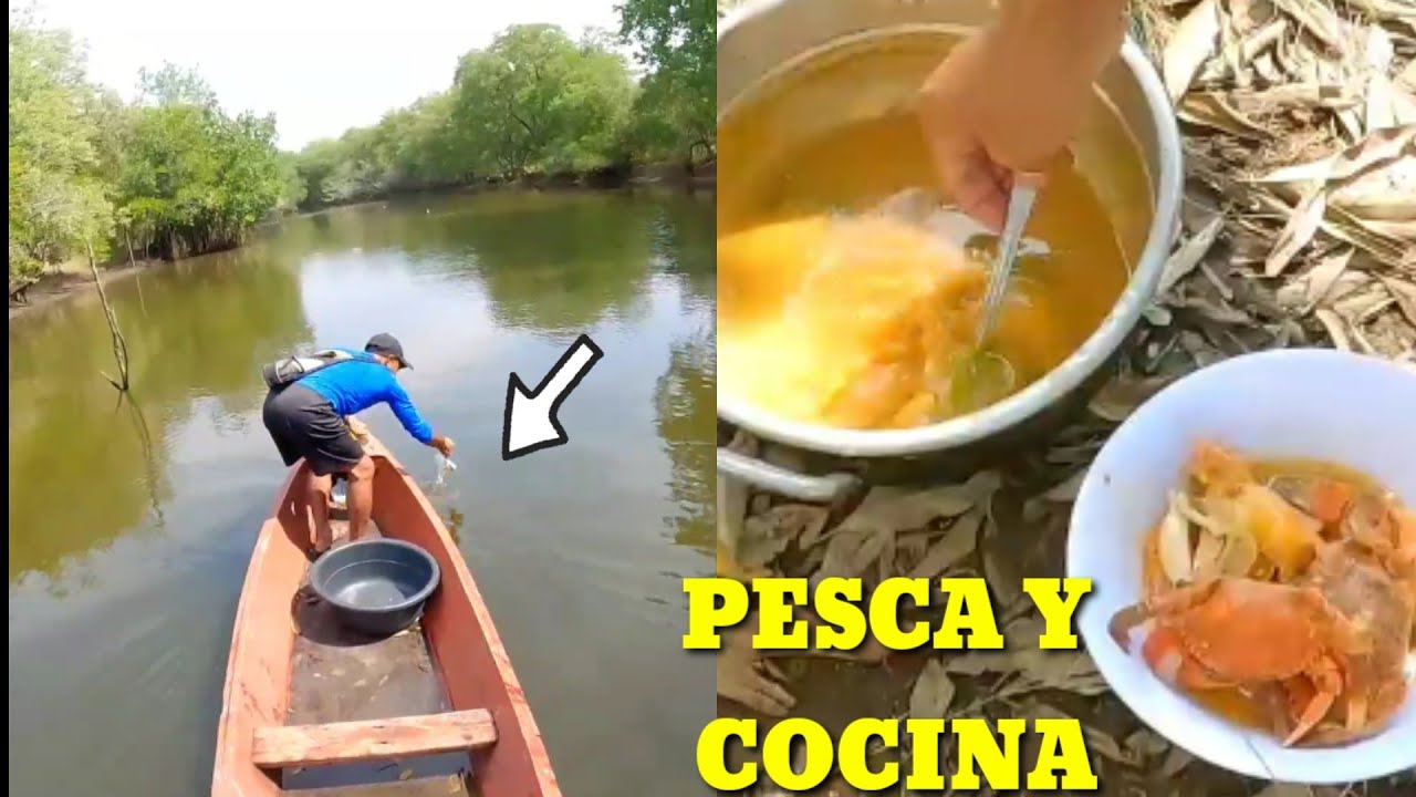 pesca y cocina en el río de jaiva y camarones jumbo - YouTube