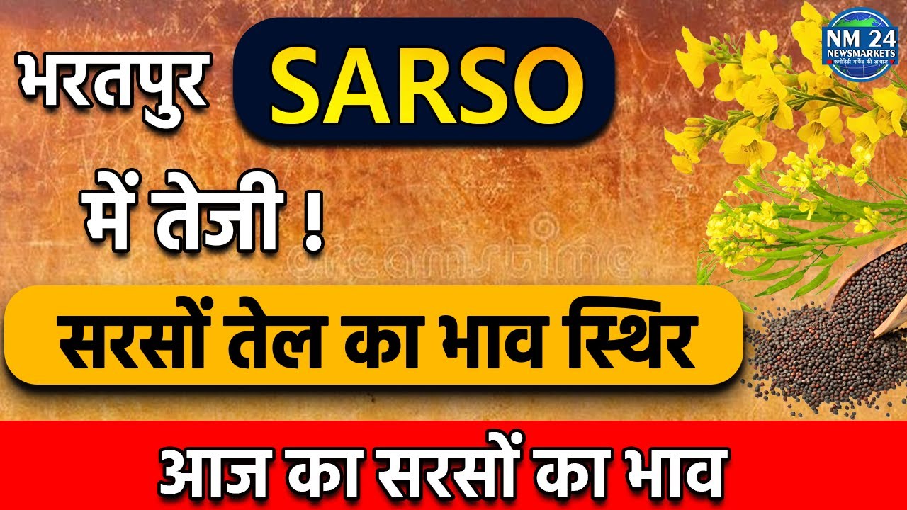 भरतपुर सरसो में तेजी ! || सरसो तेल का भाव स्थिर || Sarso Oil Exclusive ...