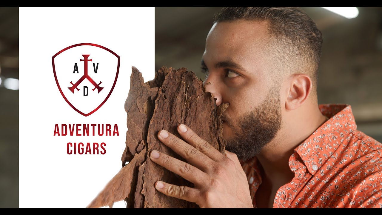 The Art of Cigar Blending: Exclusive Interview at ADVentura's Mina del ...