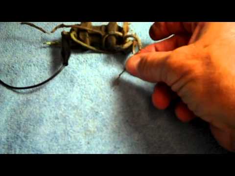 1935 Atwater Kent Model 145 Repair and Restoration (Part 9 of 38 ...