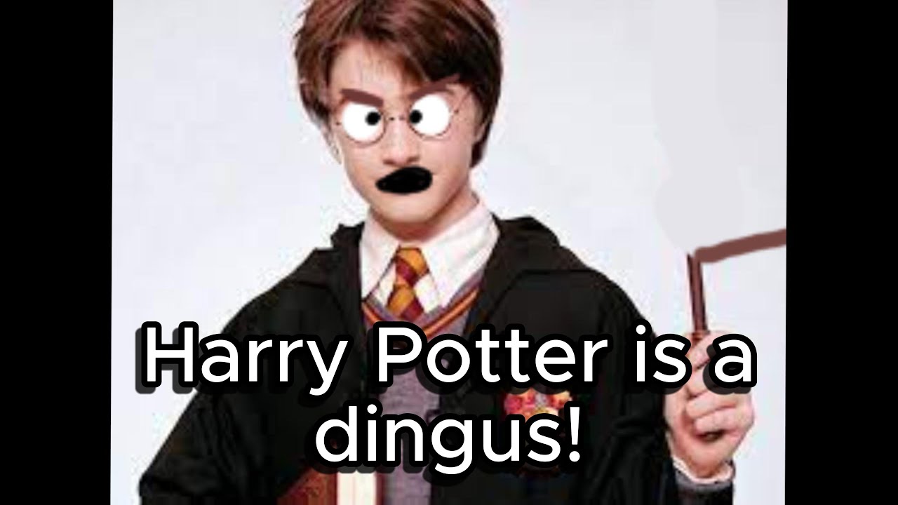 Harry Potter is a dingus - YouTube