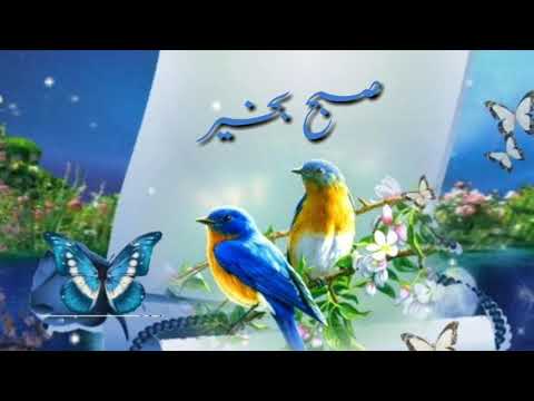 Asalam o alaikum. Subha bakhair Dua .Good Morning  WhatsApp islamic status 2021