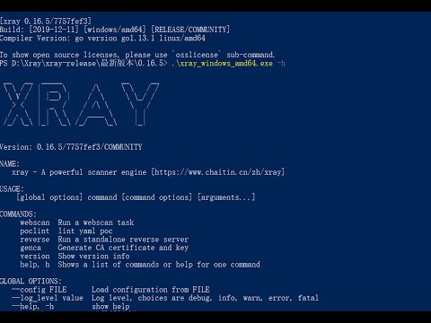 How To Find Vulnerability In Wenbsite Using XRAY SCANNER TOOL  | 2022