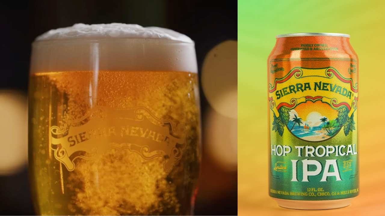 Tropical Paradise Ipa