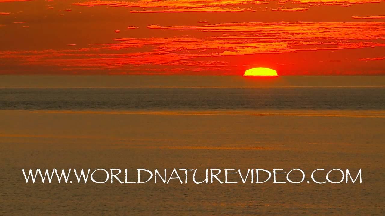 Sunset with sun disappearing into ocean, Nature Video Stock Footage ...