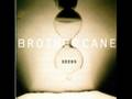 Brother Cane – Seeds (1995, Cassette) - Discogs