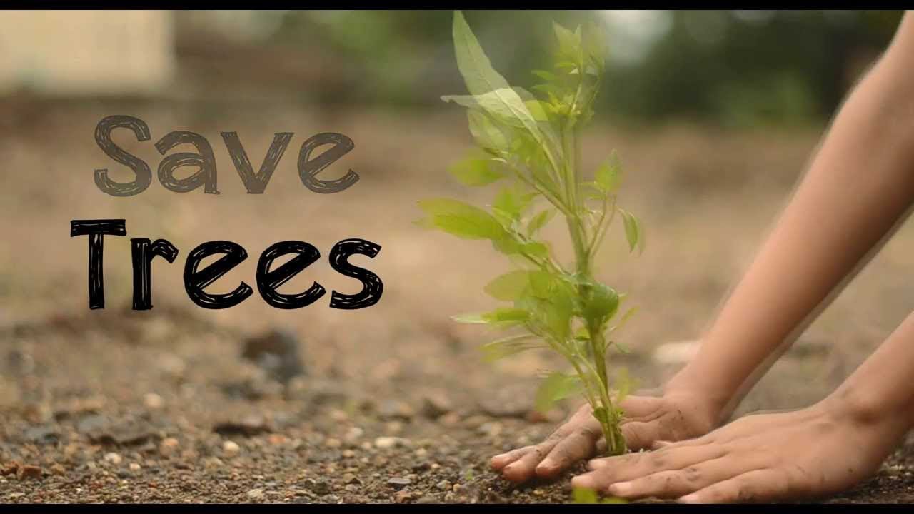 Tree (Stop cutting Trees) | Save Tree save Life - YouTube