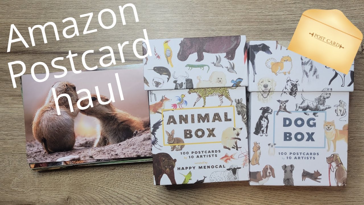 Amazon postcard haul: Animal box, Dog box and cute animal photos - YouTube