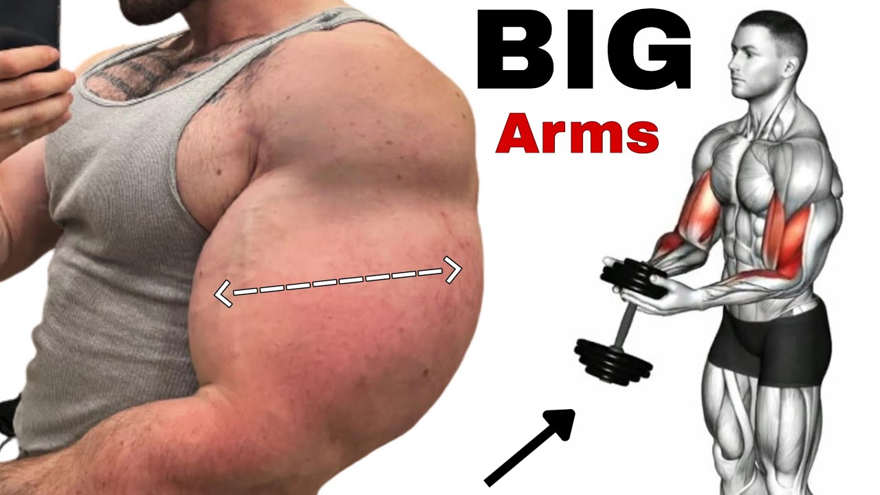 6 Best Bicep Workout Exarcises in the Gym to Make Bigger Arms - YouTube