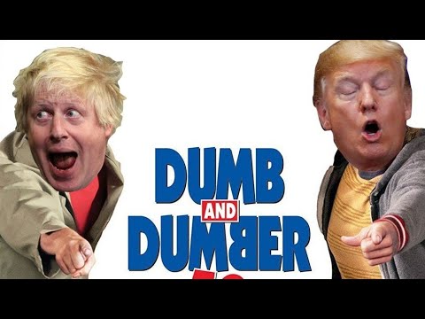 People are Getting Dumber & Dumber 🐏🐏🐏... - YouTube