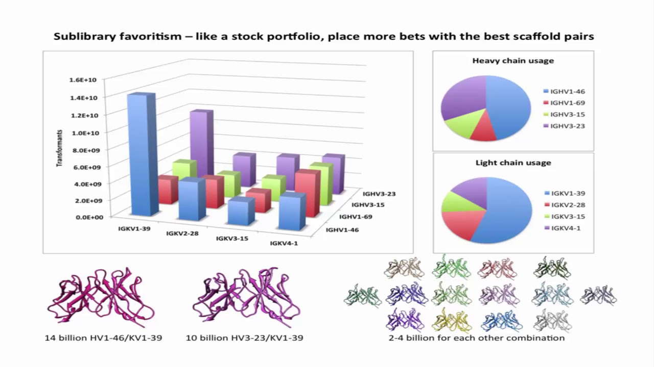 Accelerate Antibody Discovery with HT Kinetic Screening of Phage ...