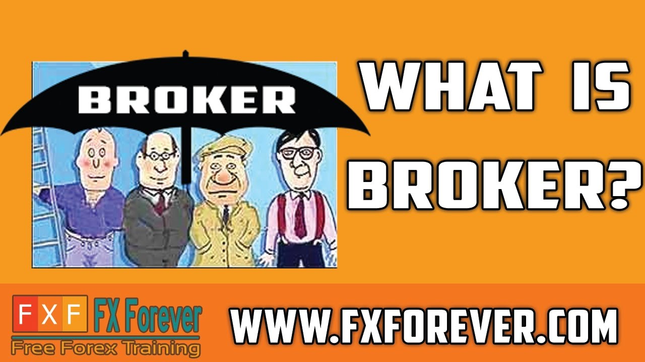 What is Broker | Forex Broker Types 🔥 - YouTube