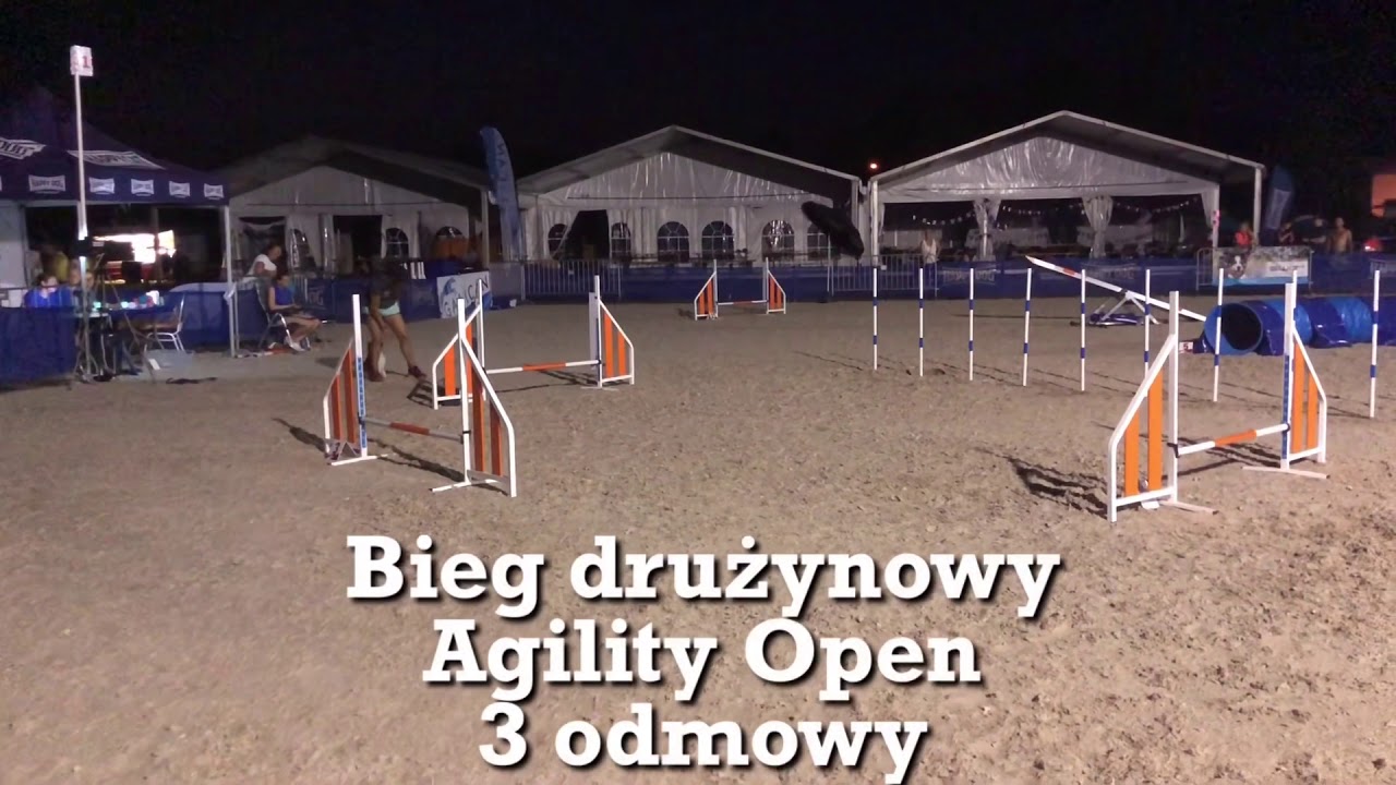 European Open Agility 2019 - Arnhem - YouTube