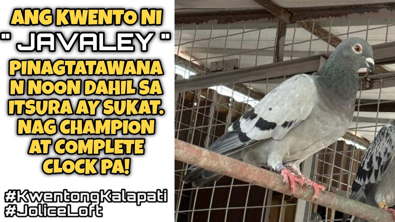 PINAGTATAWANAN NOON DAHIL SA ITSURA AT SUKAT, NAG CHAMPION AT COMPLETE ...