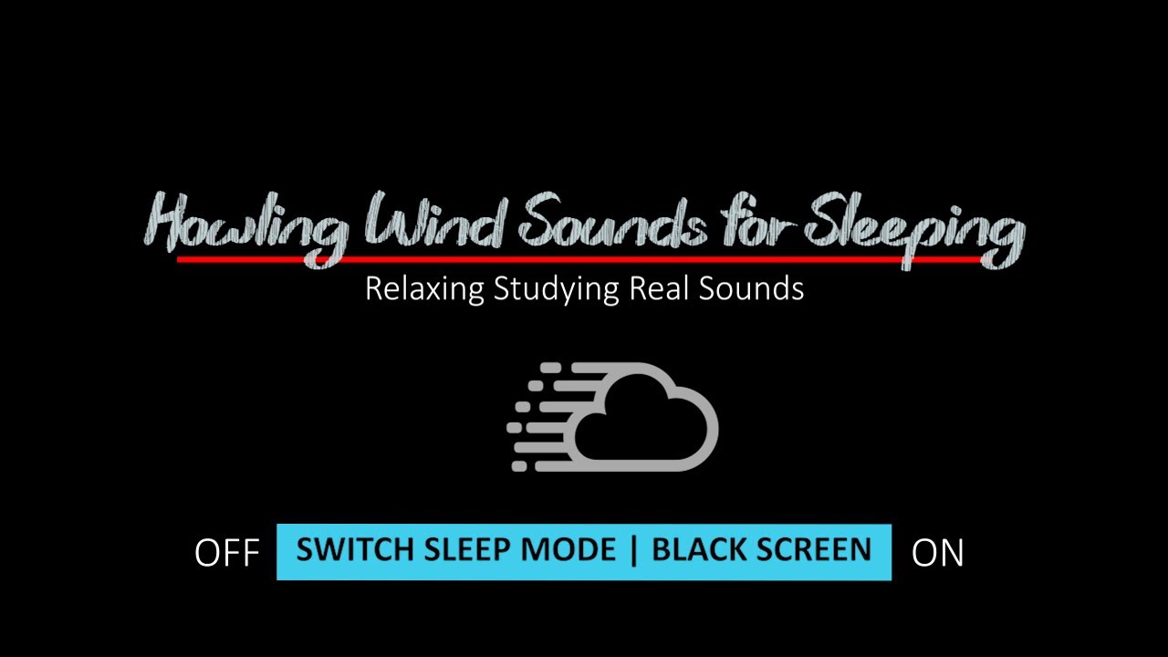 Howling Wind Sounds for Sleeping Relaxing Studying Real Sounds - BLACK ...