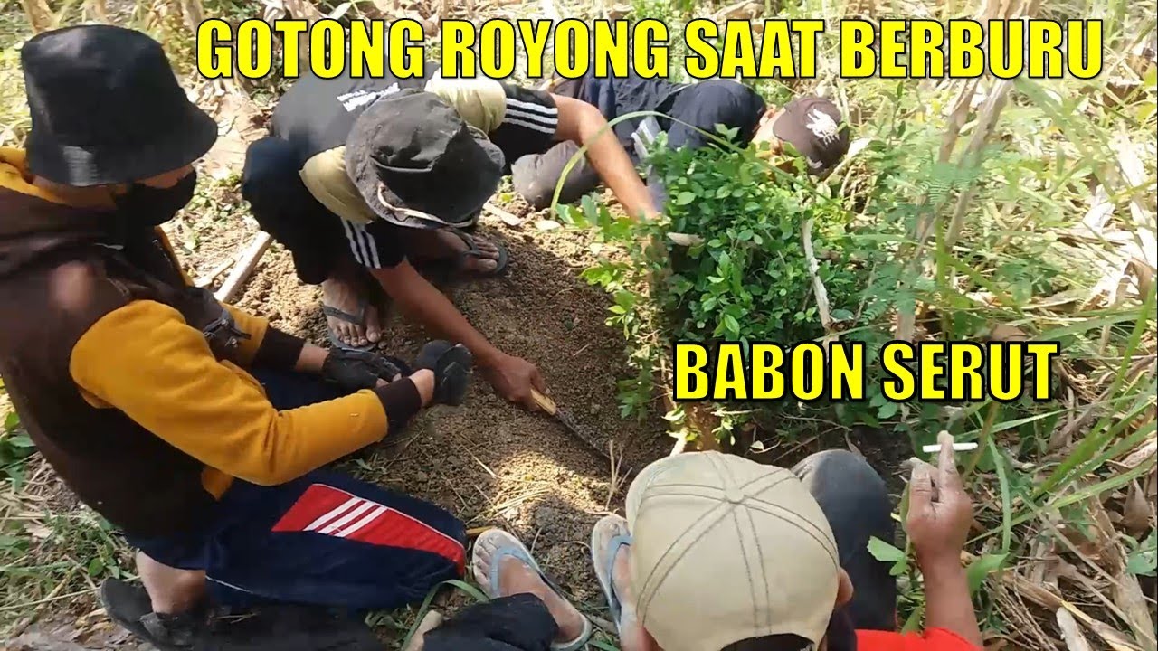HUNTING BONSAI TREES FOR BEGINNERS - YouTube