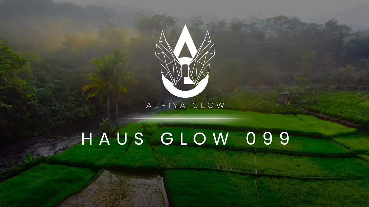 1 hour Melodic/Organic/Progressive House 2025 DJ & Electric Violin Mix by Alfiya Glow| Haus Glow ...