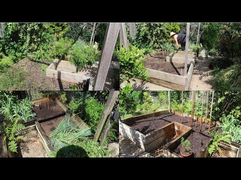 Prepare Your Kitchen Cottage Garden in 3 Easy Steps🌿💧| Clean up, Compost & Soil, & Irrigation ...
