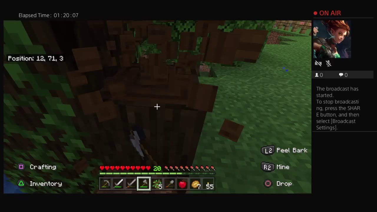 Minecraft day2 - YouTube