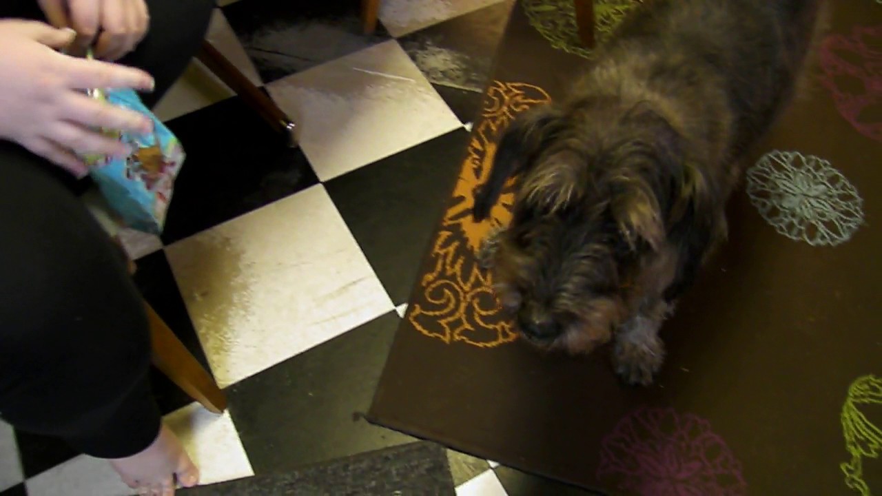 Zoey Getting Homemade Christmas Treats from Morgan Atwood - YouTube