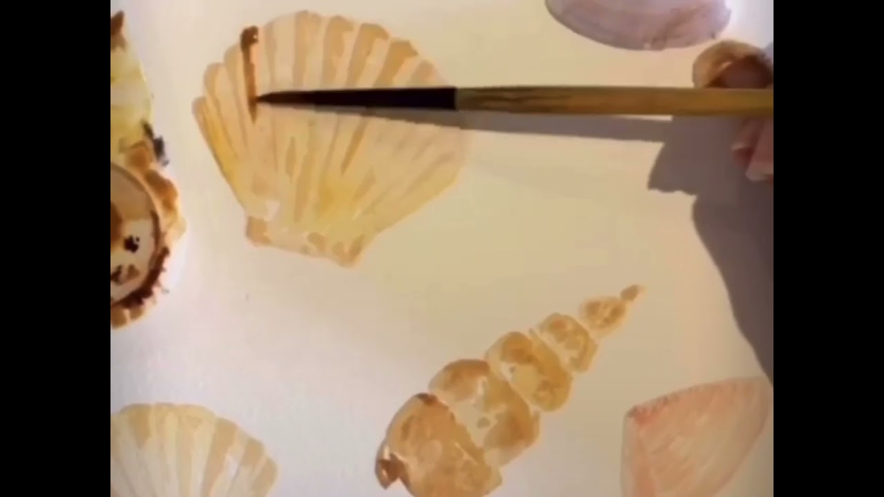 Shell Watercolour - YouTube