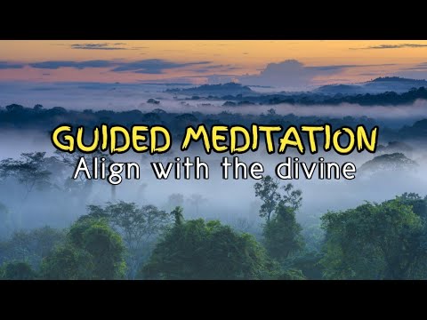 "Divine Alignment: Guided Meditation to Connect and Align with the ...