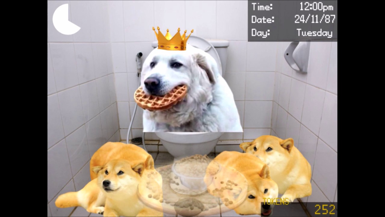 Old sport visit's the internet and give's DirectDoggo kibble pizza ...