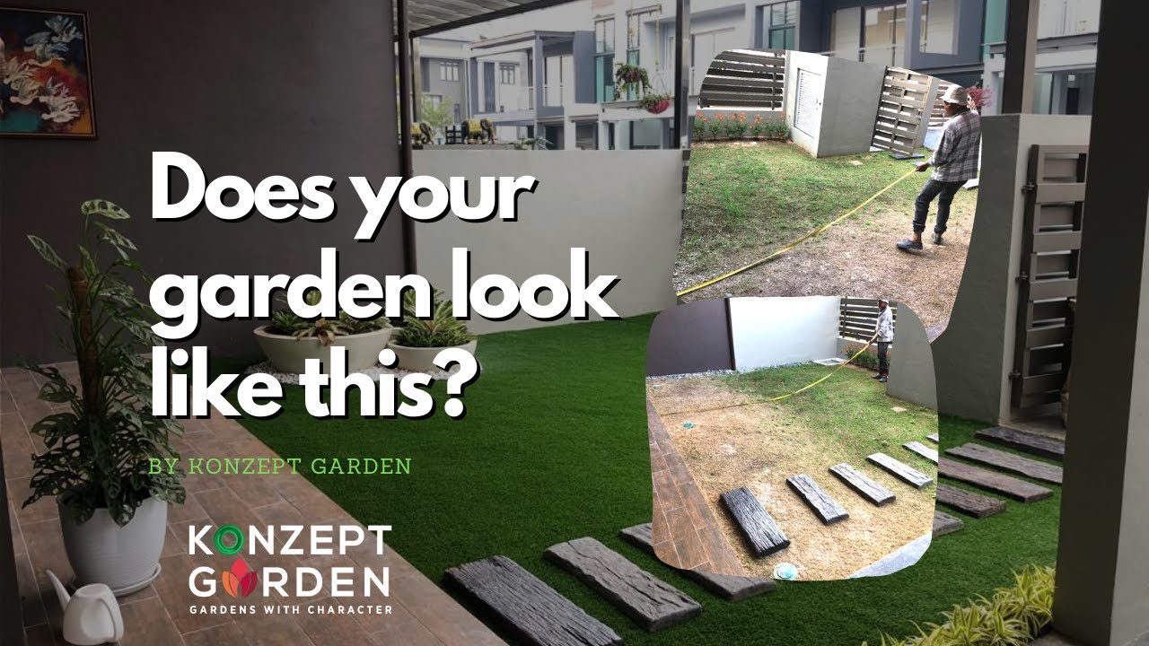 How we turn sad looking garden to lush green lawn? | Konzept Garden ...