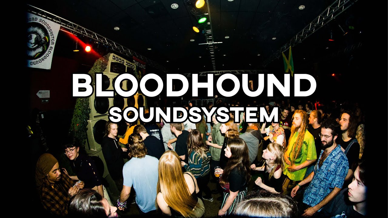 LAST TUNE! Bloodhound Soundsystem playing at 'Dub For Life' - YouTube
