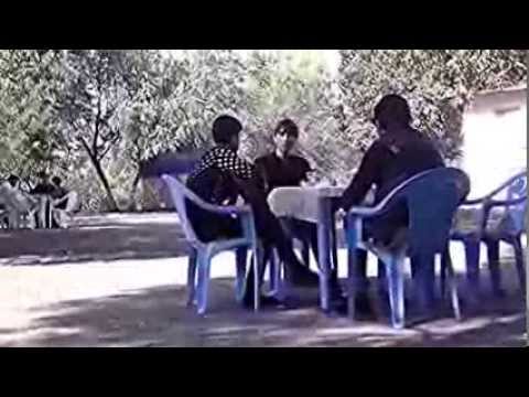 Sirvan usaqlari Dolya