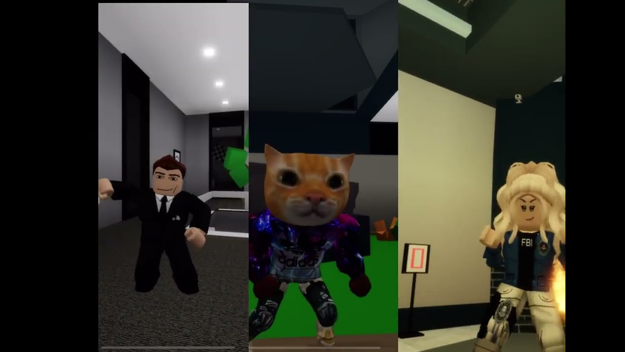 Edit CIA Stronk Cat Benker & BoboBear - YouTube