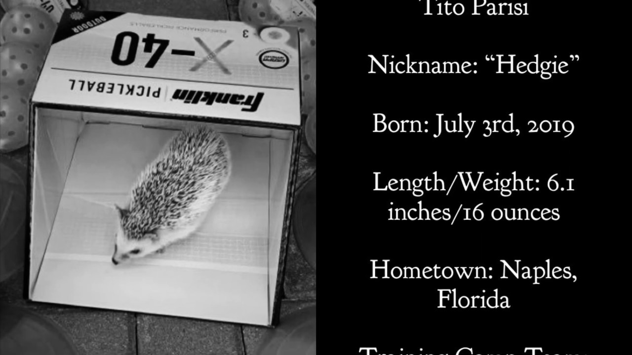 PICKLEBALL HEDGEHOG OBSTACLE COURSE!! - YouTube