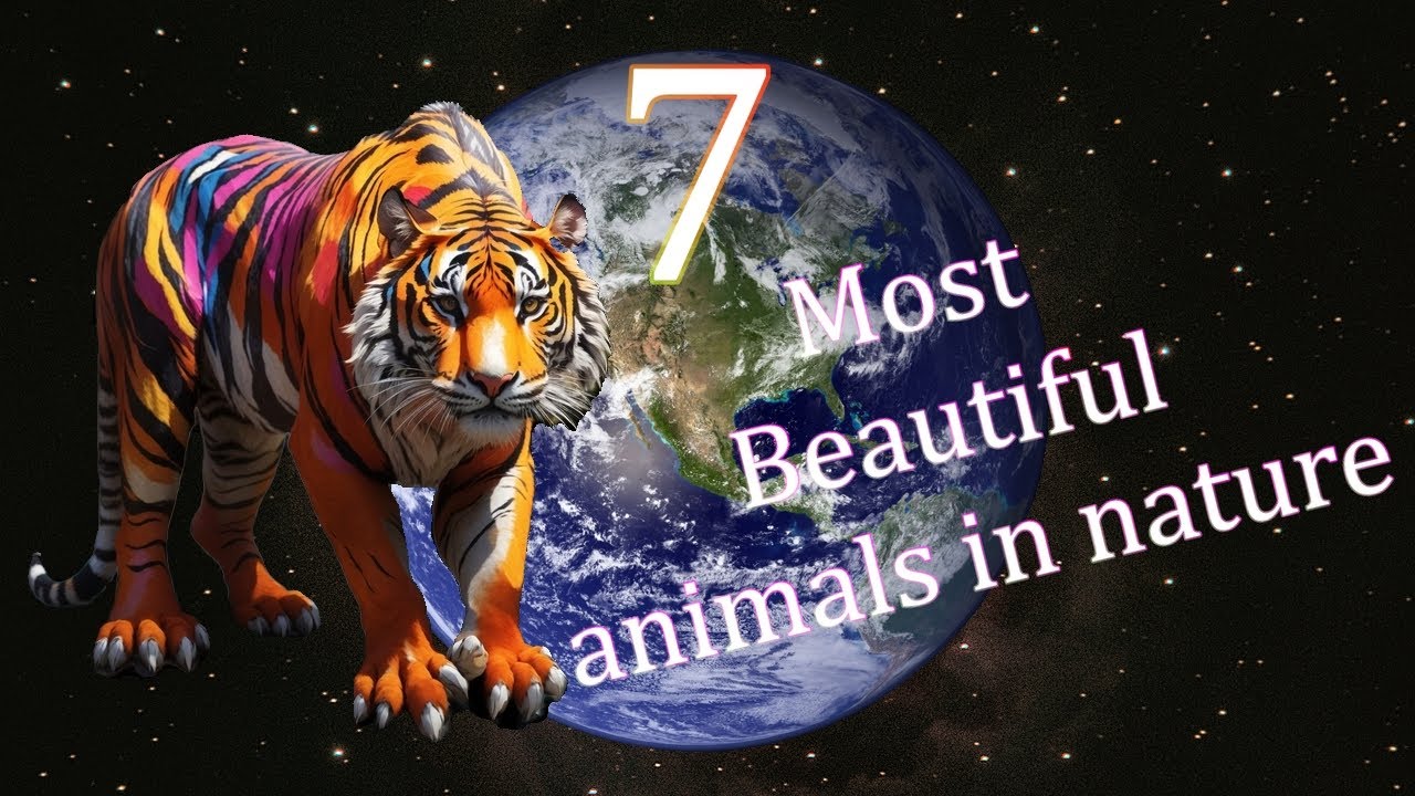 7 Most Beautiful Animals Found in Nature 🌎🌍🌏 - YouTube