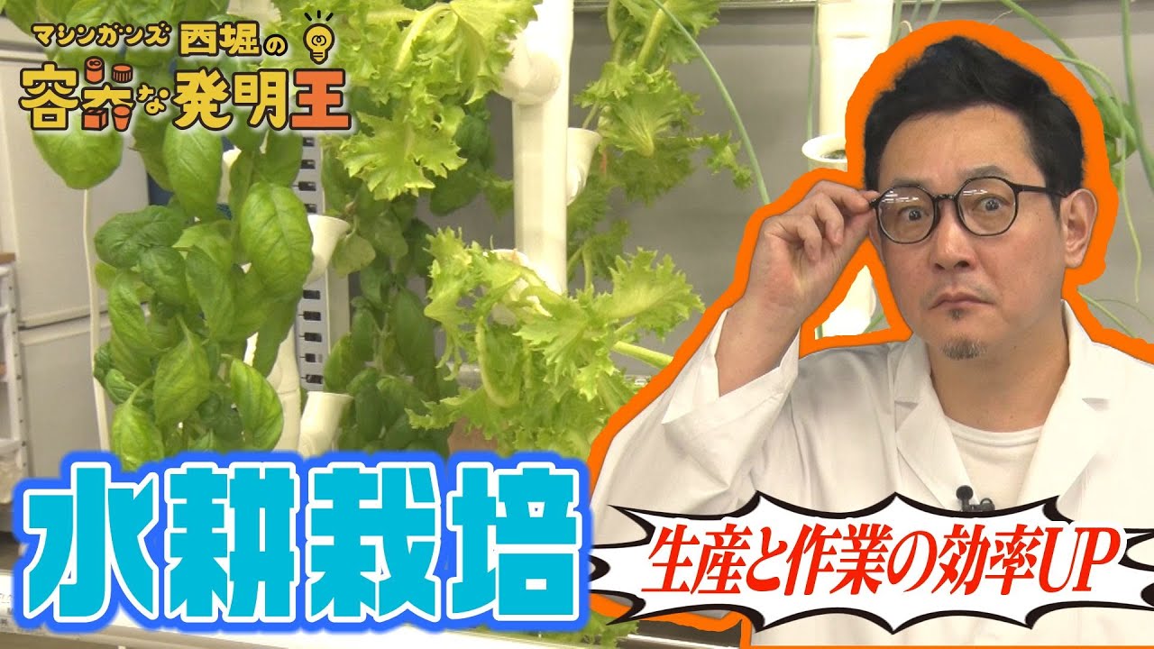 【新スタイル！】手軽にバケツでも出来る！？土を使わないで育てる「水耕栽培」をご紹介！ - YouTube