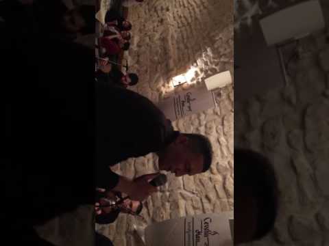BAHÇEDE YEŞİL ÇINAR ibrahm volkan bilginoğlu