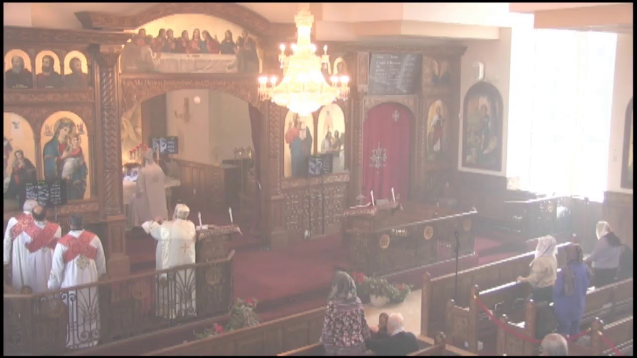 Coptic Myrtle Live Stream - YouTube