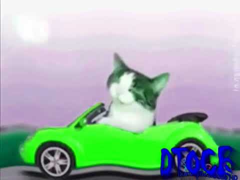 Preview 2 Numa Cats V3 Sponsored by Preview 2 v17 Effects