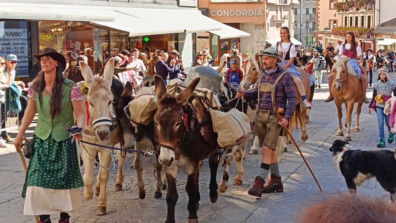 DESMONTEÀ 2025 Passaggio nel CENTRO di CORTINA🐄🐑🐏🐕 - YouTube