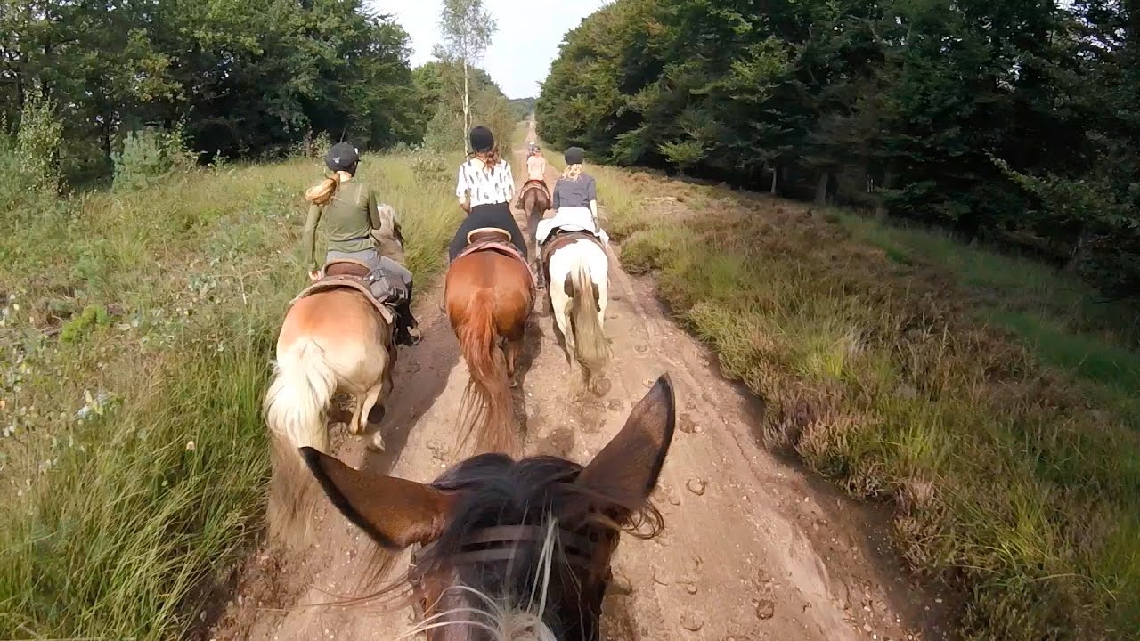 Wildrit - The Mill Ranch - 17 september 2016 - YouTube