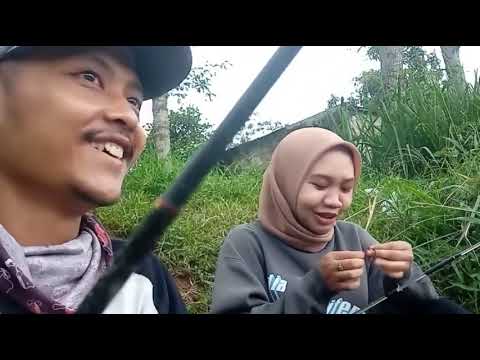 MANCING DISEMAK SEMAK ADA IKAN YANG WIK WIK DENGAN SANTAI