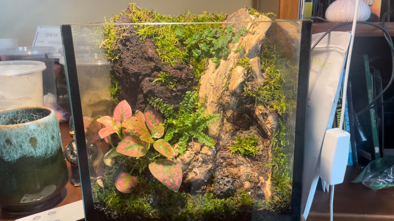 let’s make a simple cube terrarium! moss+ lava rock! - YouTube