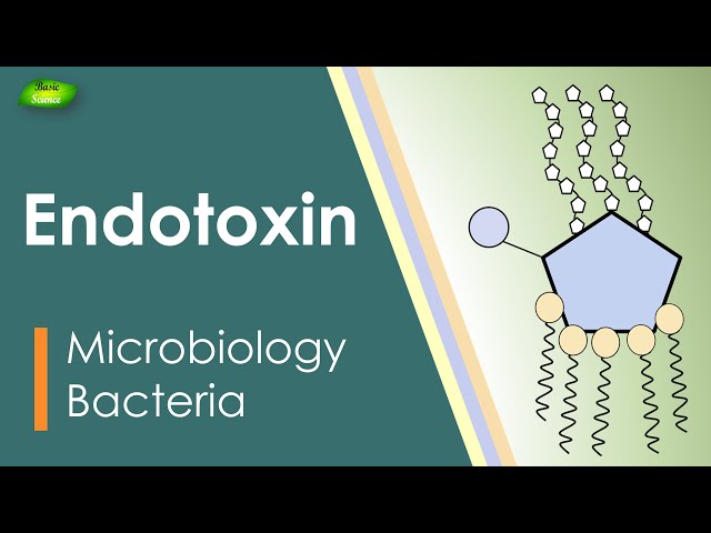 Bacterial Cell Endotoxins Location