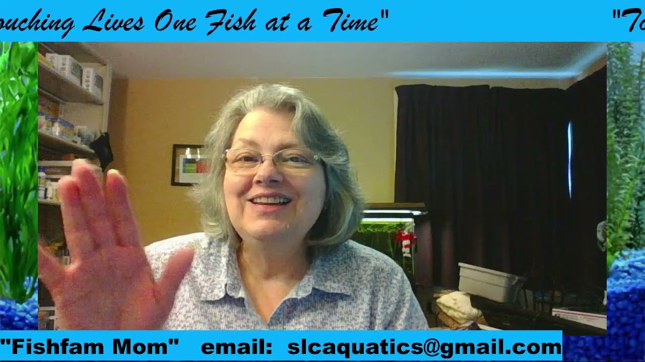 Tuesday Night with Susan for SLC Aquatics - YouTube