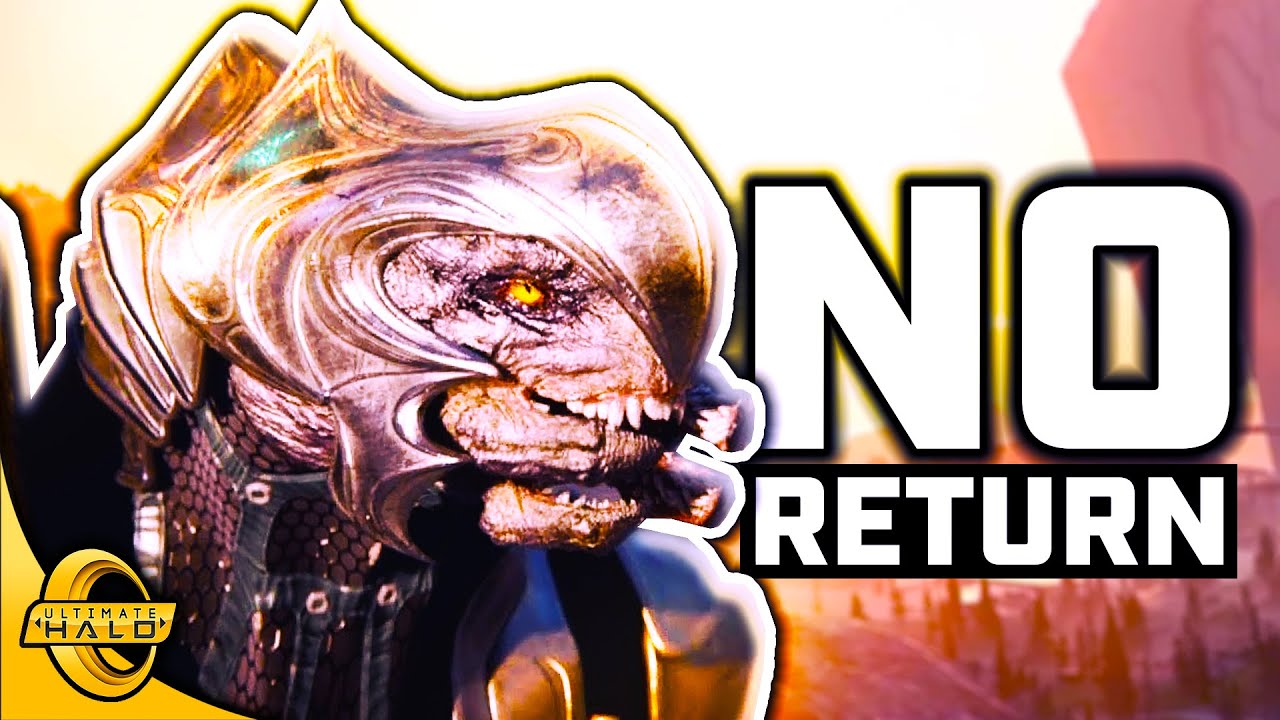 The Arbiter is MISSING in Halo Infinite - Why this is good! - YouTube