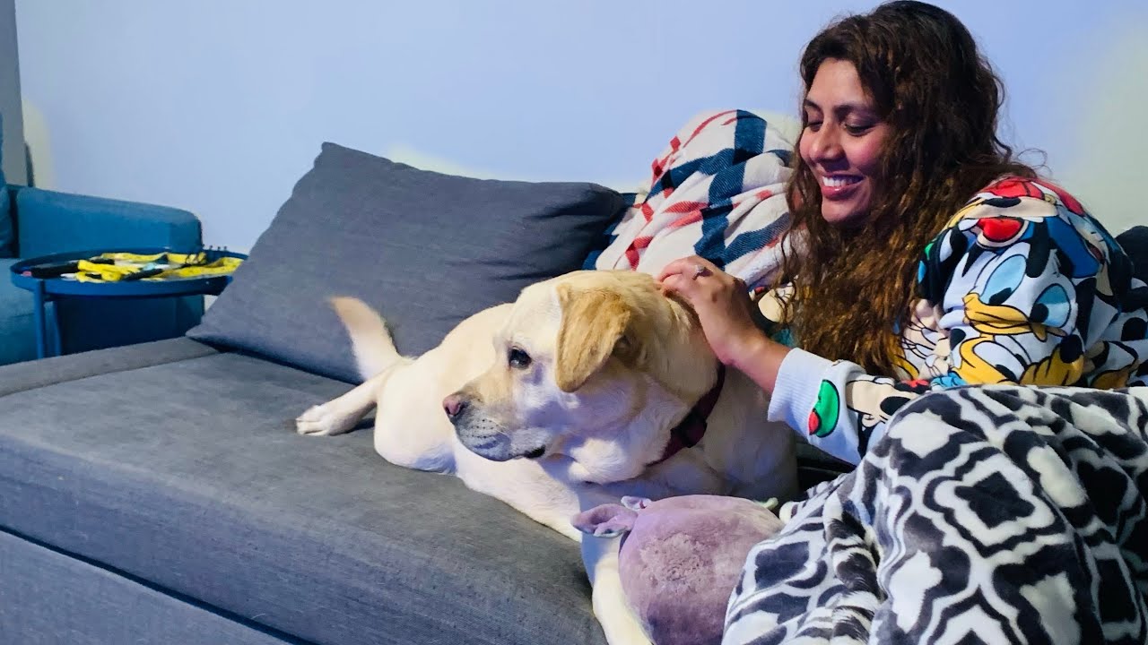 Saturday Mini Vlog: Eliza’s Backyard Swing Adventure | Matthew 11:28 Inspiration - YouTube