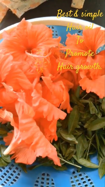 Home Made Hair Oil To Improve Hair Health Viral Shorts Shortvideo Justaminute Haircare