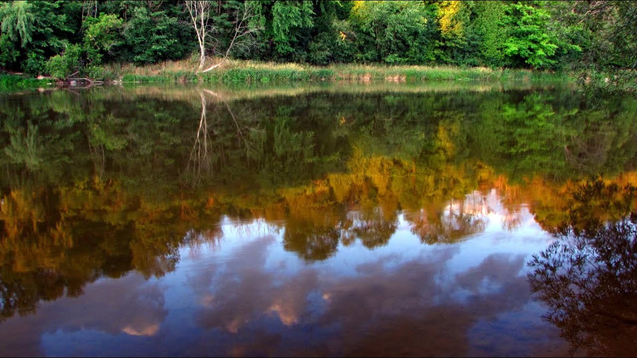 Grand River Walter Bean Trail Marsland Landing, Waterloo Canada - YouTube